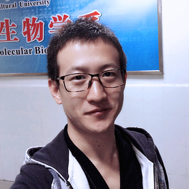 academic-cv-yuwen-dong-impactio